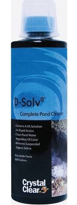 How to Deal with Pond Algae?