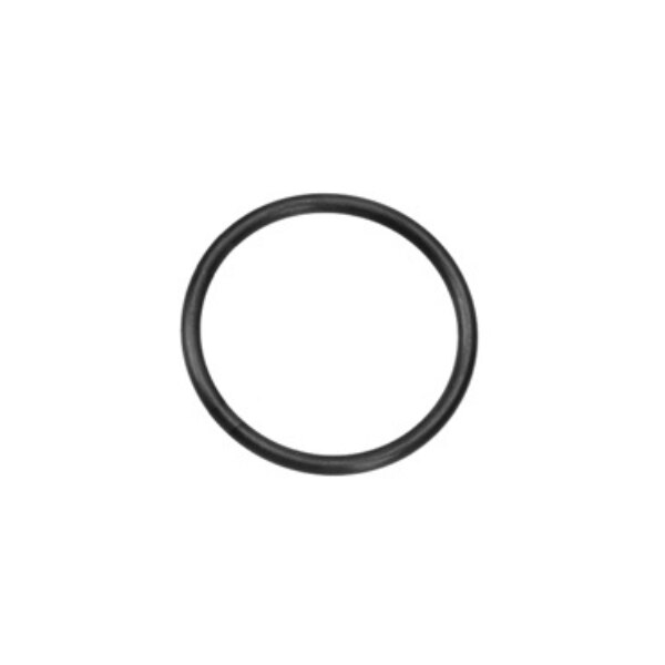 O-Ring #210