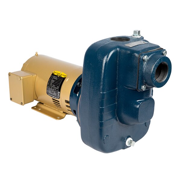 Turf Boss 3HP, 115v/230v Close-Coupled Self-Priming Pump